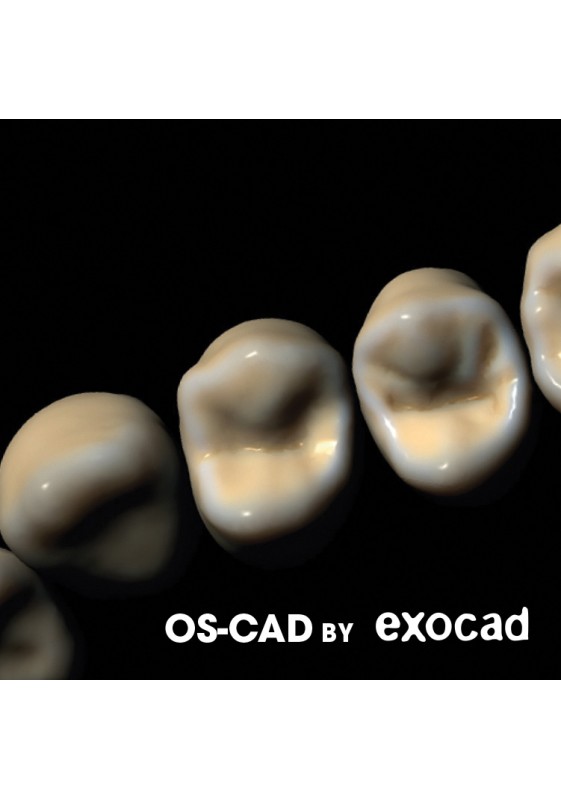 TOOTH LIBRARY - OS-CAD BY EXOCAD